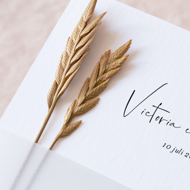 Drukkerij/ontwerpstudio Cotton Bird in Rotterdam | ThePerfectWedding.nl