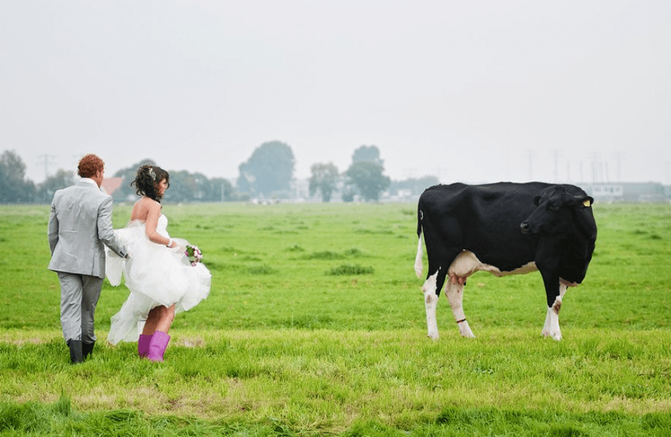 Trouwfotograaf Wedding Services in Almere | ThePerfectWedding.nl